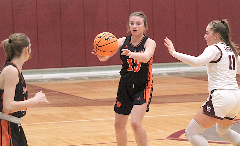 Wheeling Central women defeat Shadyside 84-26 | News, Sports, Jobs ...